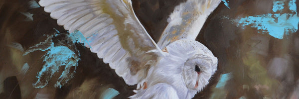 New oil painting of a barn owl in flight - Laura Beardsell-Moore Fine Art