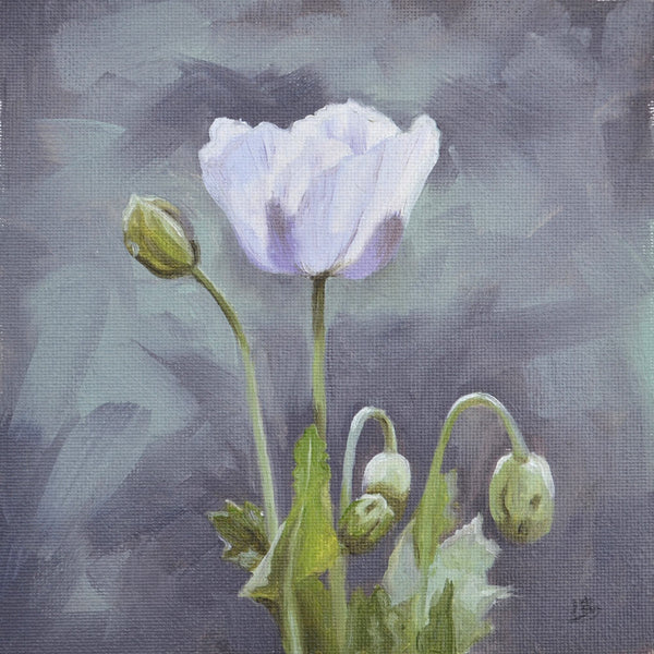 Original Oil Painting Study | Laura Beardsell-Moore - Laura Beardsell ...