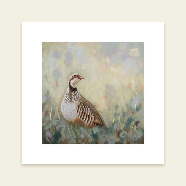 Philbert French Partridge Art Print - Laura Beardsell-Moore Fine Art
