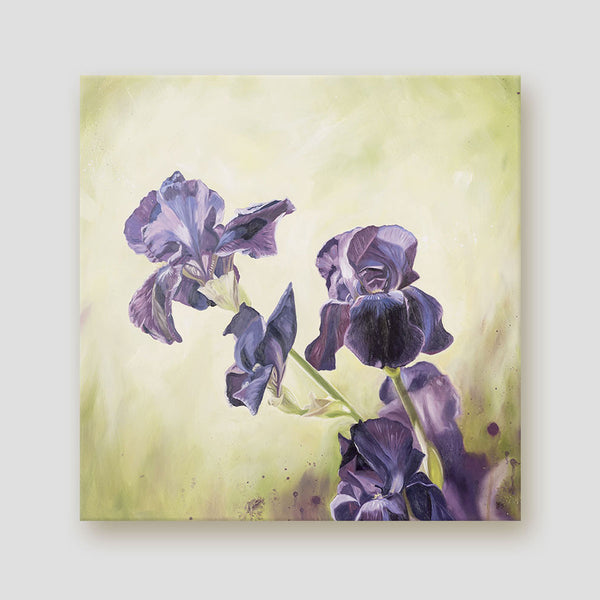 Verity - Iris canvas - Laura Beardsell-Moore Fine Art