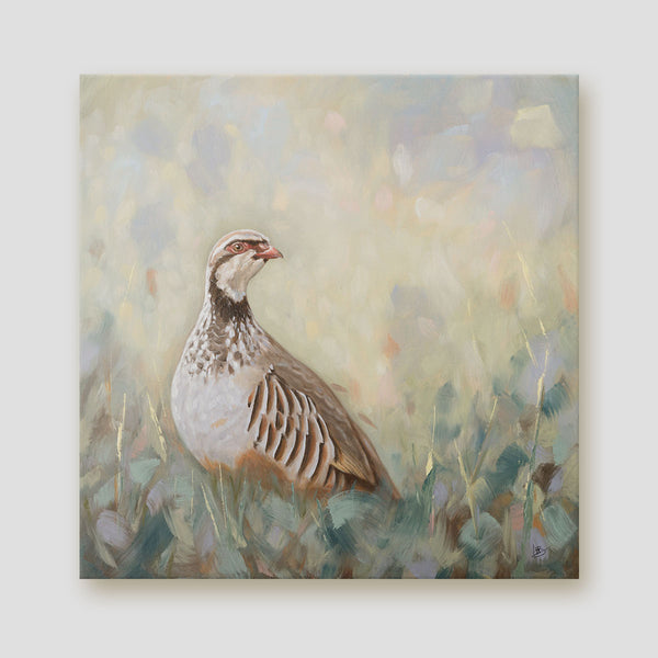 Philbert the French Partridge Canvas Print | British Bird Art - Laura ...