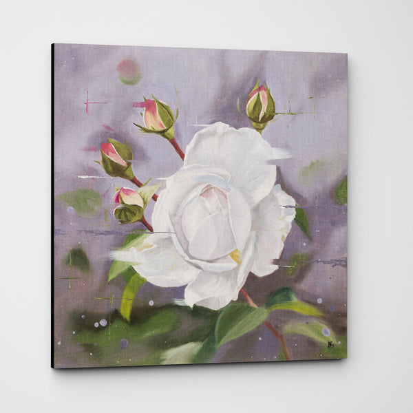 Summer Memories Rose Canvas Print - Laura Beardsell-Moore Fine Art